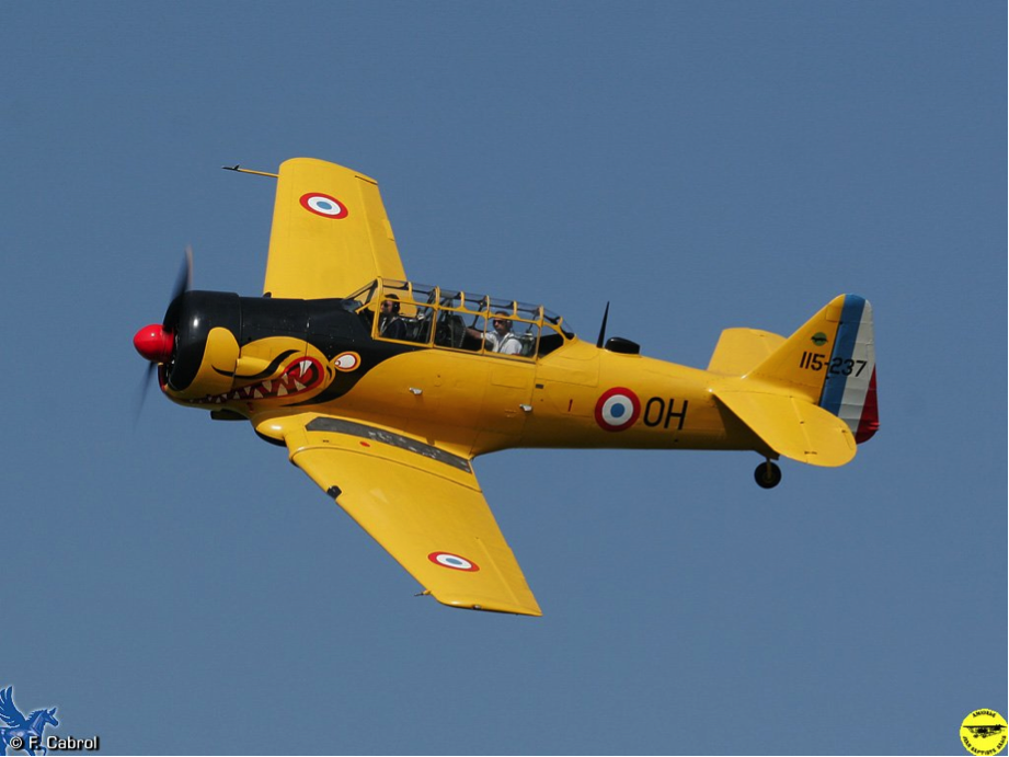 NAT6 Texan - AJBS